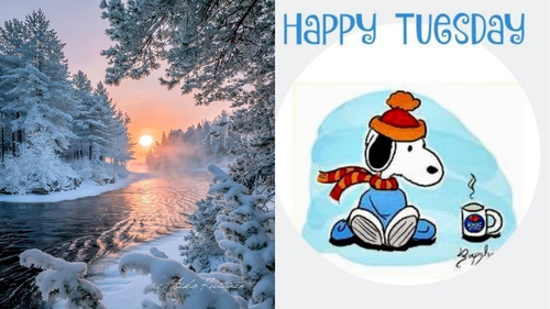 Tuesday Early Morning Presentation Winter Term | Teaching Resources
