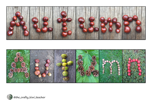 Seasons signs with nature lettering | Teaching Resources