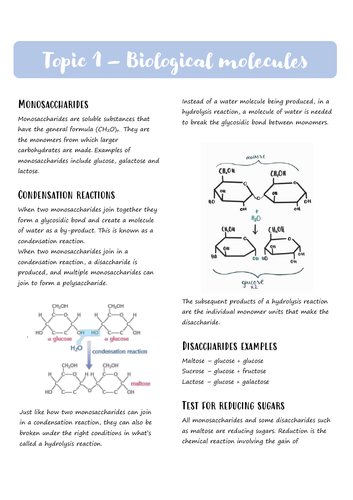 AQA A* Biology Notes on Topic 1 Biological Molecules | Teaching Resources