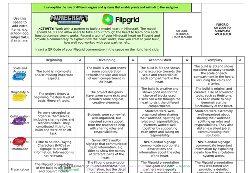 Minecraft Rubric - Circulatory System | Teaching Resources