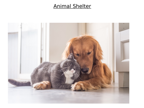 KS3 Mathematics Project - Animal Shelter (Non-Calculator) | Teaching ...