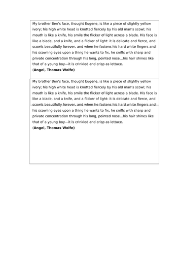 UKS2 (Y5 / Y6) Writing unit - narrative - based on novel: Wild Boy (T4W ...