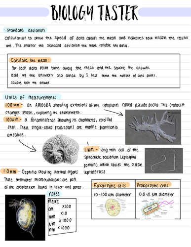*STRAIGHT A STUDENT NOTES* A-Level Biology OCR A : Cell Structure (2.1 ...