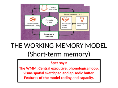 AQA Psychology the working memory model | Teaching Resources AQA Psychology the working memory model | Teaching Resources