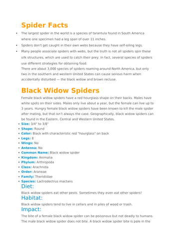 Y3/4 Non-chronological report on Spiders | Teaching Resources