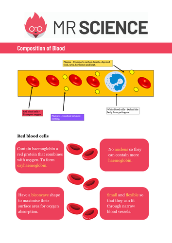 Revision: Blood | GCSE grade 9 revision study notes | Teaching Resources
