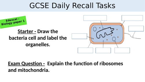 GCSE Biology - Daily Recall Tasks | Teaching Resources