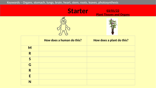 7Ab Organs Exploring Science | Teaching Resources