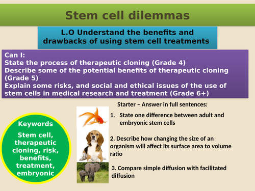 GCSE Science B2 cell division AQA powerpoints and exam questions ...