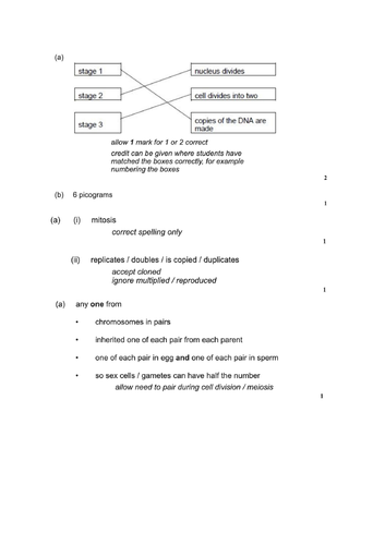 GCSE Science B2 cell division AQA powerpoints and exam questions ...