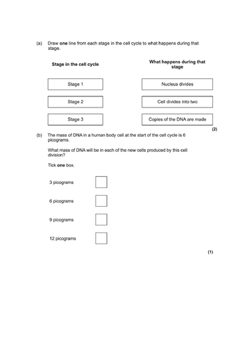 GCSE Science B2 cell division AQA powerpoints and exam questions ...