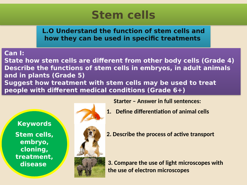 GCSE Science B2 cell division AQA powerpoints and exam questions ...