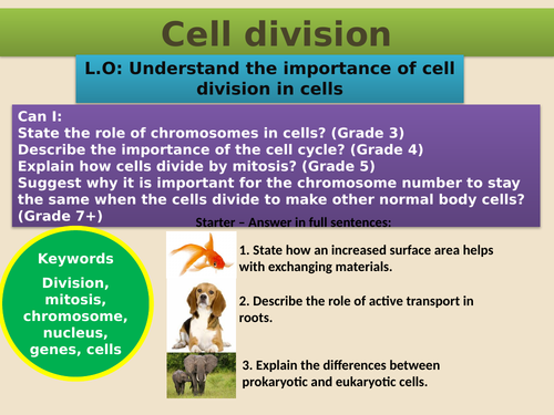 GCSE Science B2 cell division AQA powerpoints and exam questions ...