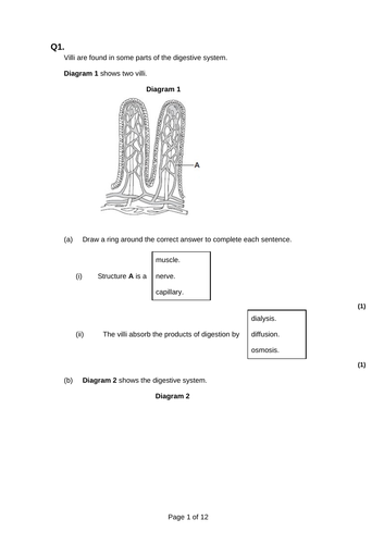 GCSE Science B3 Organisation and the digestive system AQA Powerpoints ...