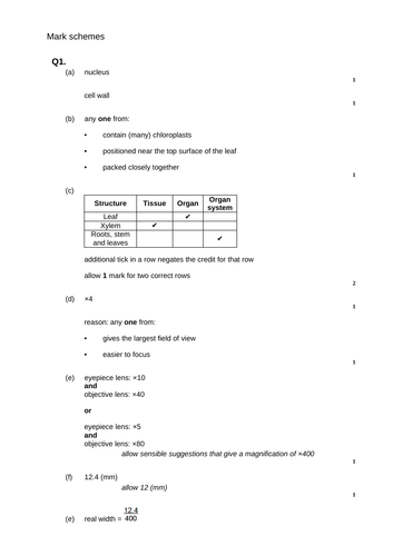 GCSE Science B3 Organisation and the digestive system AQA Powerpoints ...