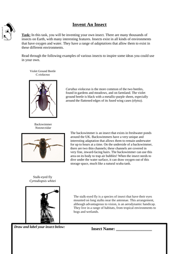 Invent an Insect Activity | Teaching Resources