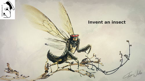 Invent an Insect Activity | Teaching Resources