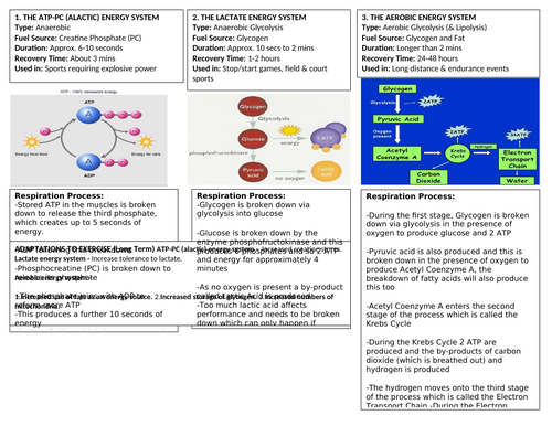 Cambridge Technical Level 3 Sport 2016 Unit 1 Knowledge Organiser ...