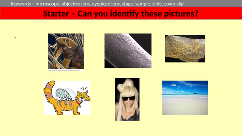 7Ac Microscopes Exploring Science | Teaching Resources