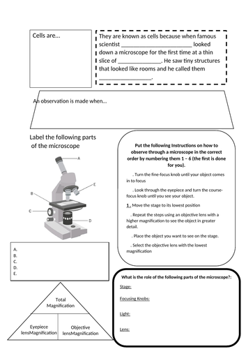 Magnification Worksheet KS3 introduction to Magnification | Teaching ... Magnification Worksheet KS3 introduction to Magnification | Teaching ...