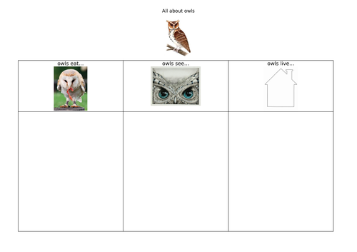 All about owls. | Teaching Resources