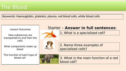 GCSE Science B4 Organising animals and plants AQA Powerpoints and exam ...