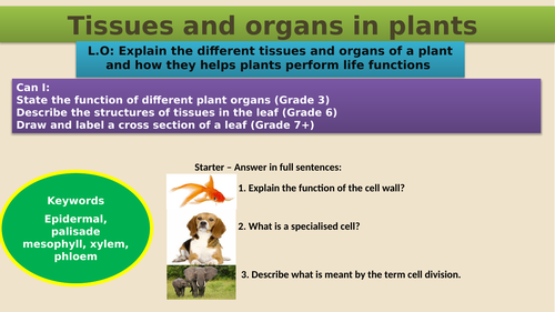 GCSE Science B4 Organising animals and plants AQA Powerpoints and exam ...