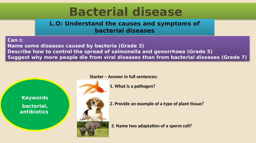 GCSE Science B5 Health and disease AQA powerpoints and exam questions ...