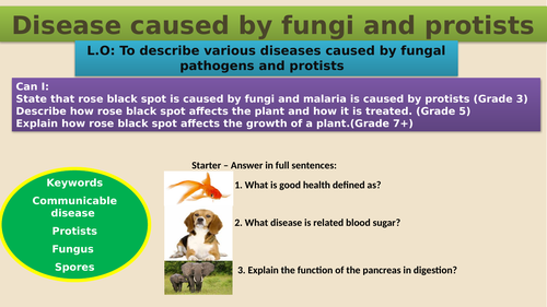 GCSE Science B5 Health and disease AQA powerpoints and exam questions ...