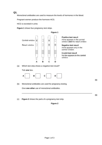 GCSE Science B6 Antibiotics and vaccination Powerpoints and exam ...