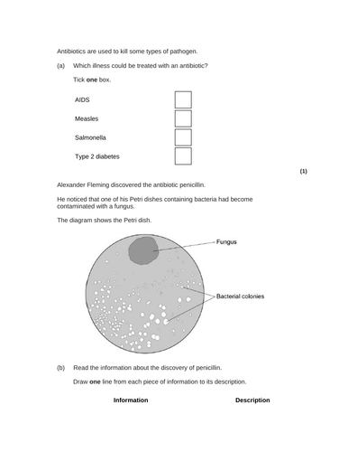 GCSE Science B6 Antibiotics and vaccination Powerpoints and exam ...