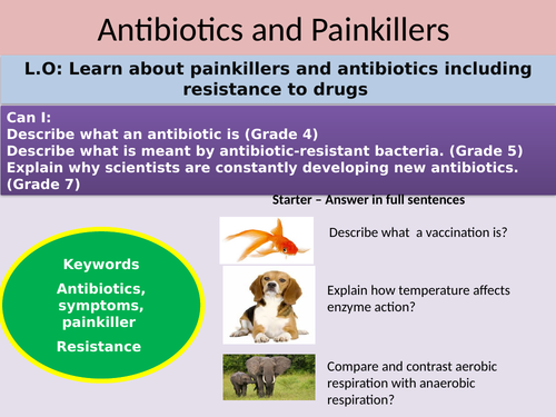 GCSE Science B6 Antibiotics and vaccination Powerpoints and exam ...