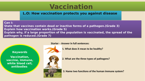 GCSE Science B6 Antibiotics and vaccination Powerpoints and exam ...