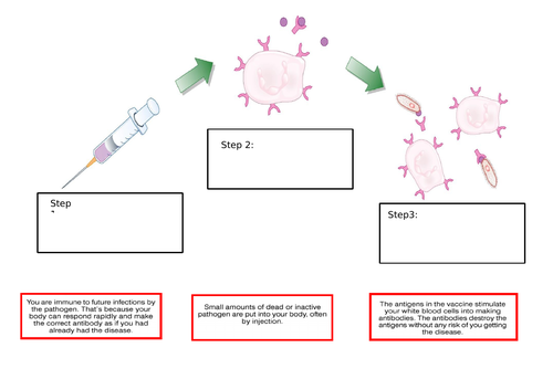 GCSE Science B6 Antibiotics and vaccination Powerpoints and exam ...