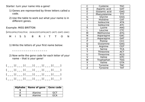 DNA structure starter/plenary activity | Teaching Resources