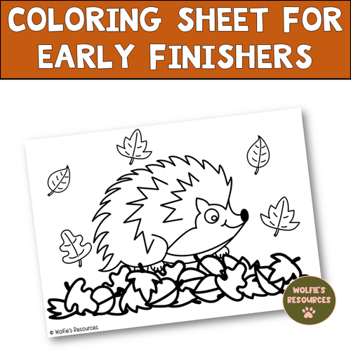 All about Hedgehogs | Teaching Resources