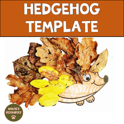 All about Hedgehogs | Teaching Resources