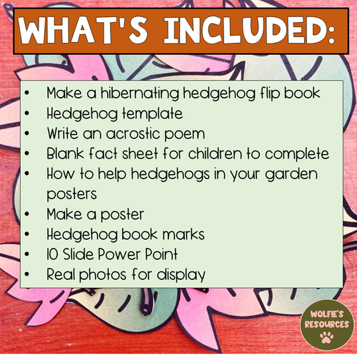All about Hedgehogs | Teaching Resources