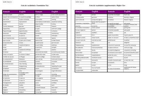 Unit11- Vocabulary List- GCSE French | Teaching Resources