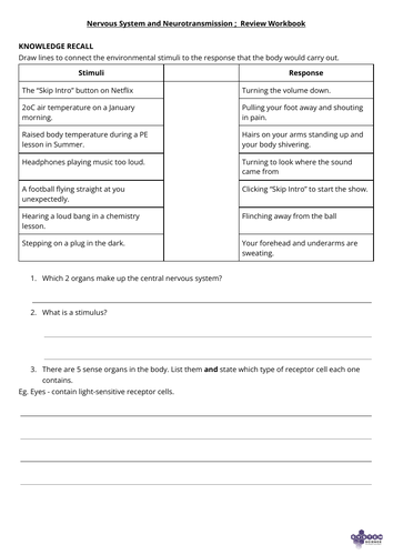 NervousSystem Review Lesson | Teaching Resources