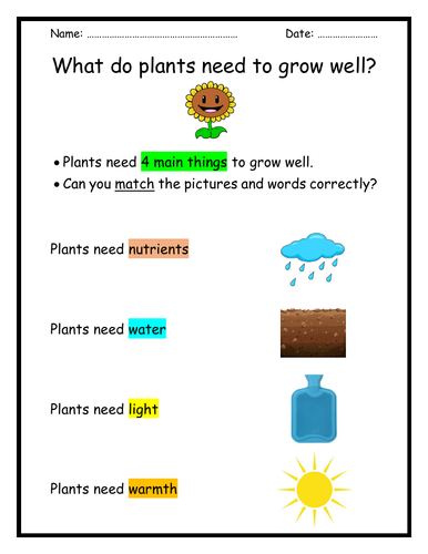 What & Why do plants need to grow well? Worksheet + PowerPoint ...