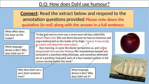 Boy- Roald Dahl (Full Unit) | Teaching Resources