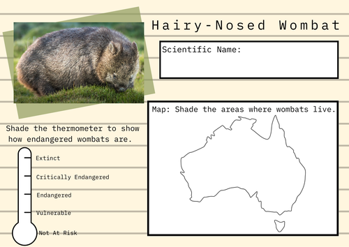 Australian Animals Research Fact File Worksheets | Teaching Resources