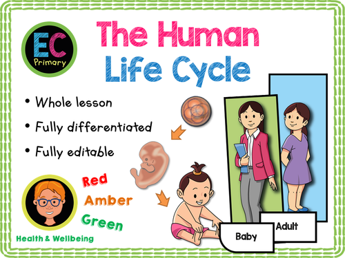 Human Life Cycle - KS1 | Teaching Resources