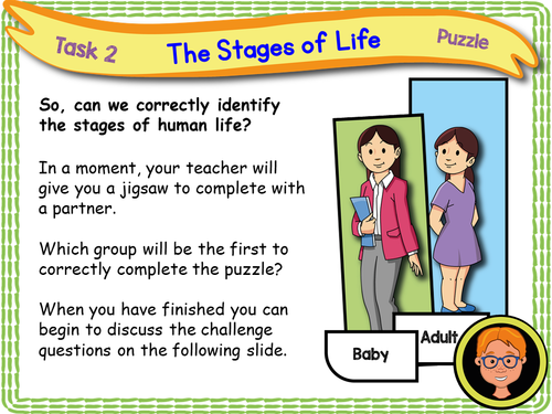 Human Life Cycle - KS1 | Teaching Resources