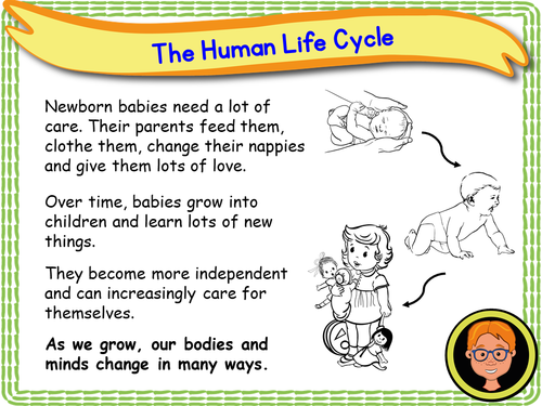 Human Life Cycle - KS1 | Teaching Resources