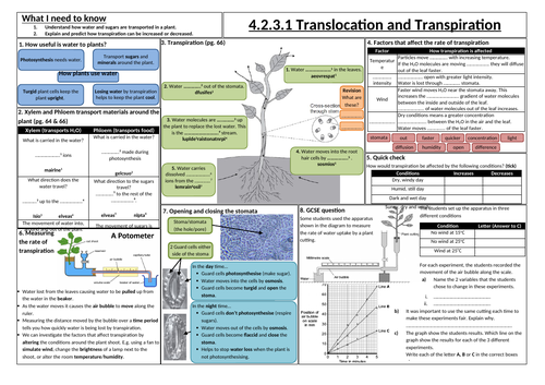 Translocation and Transpiration | Teaching Resources