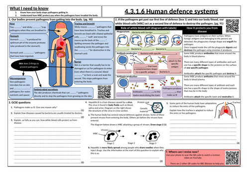 Human defence systems | Teaching Resources