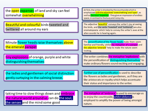 Edexcel English Language Paper 2 Q4 5 6 | Teaching Resources