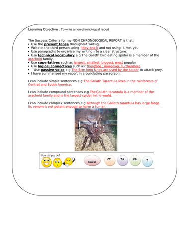 Non-chronological report writing - Tarantula | Teaching Resources